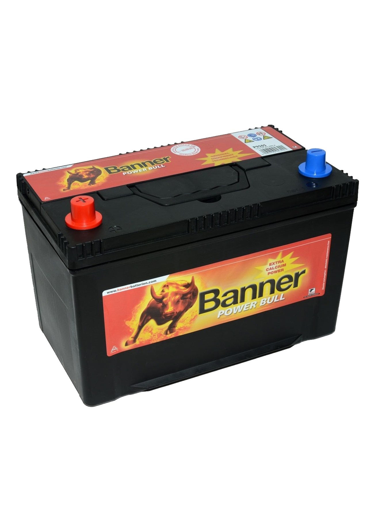 BANNER P9505 - Homenergy